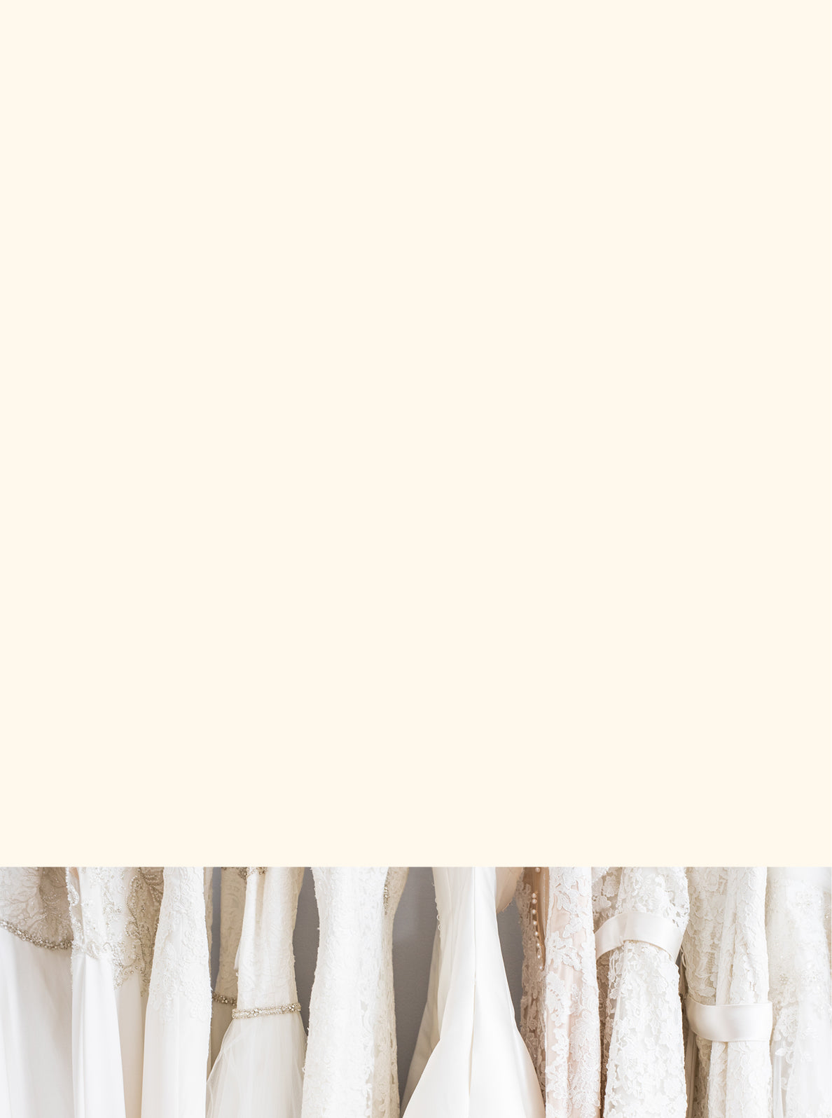 Wedding Day - Curator Paints EU